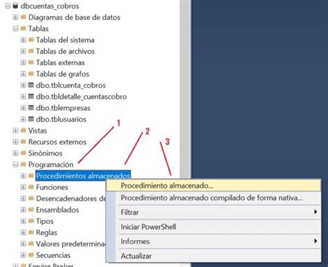 software de cuenta cobro vb6 2 procedimientos almacenados sql server programar es fácil