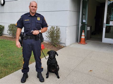 Passaic County Sheriffs Department Holds K 9 First Aid Seminar Tapinto