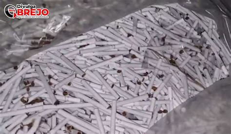 Blog Divulga Brejo Notícias Fábrica Clandestina De Cigarros é