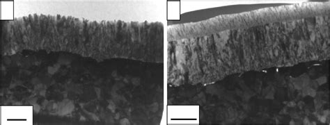 Figure 1 From Microstructure Of Duplex Type Coatings From Ti Si N And Cr Sin Systems Applied