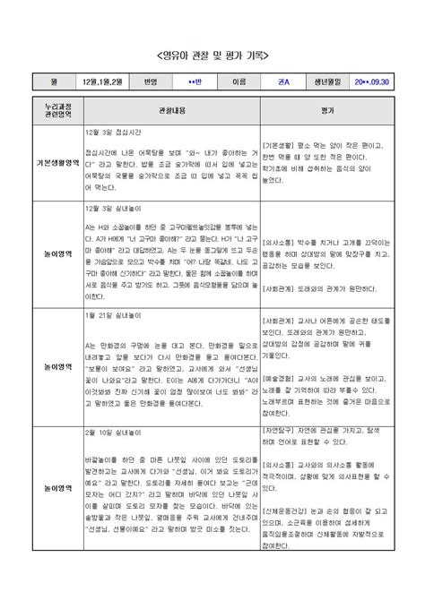 만3세 관찰일지 발달평가 하반기 평가제a 크몽