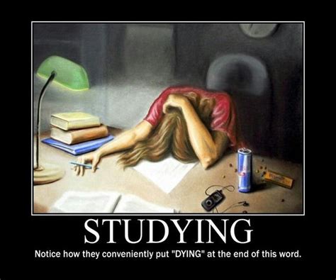 Pin By Mary Snyder Souders On Random Funny School Humor Funny Quotes Hilarious