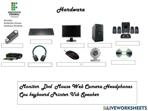 Hardware E Software Interactive Worksheet Live Worksheets