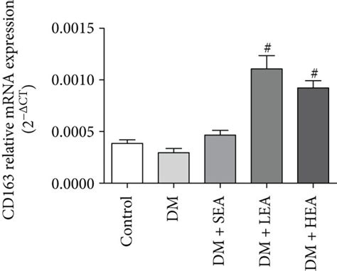 Expression Levels Of Cd163 Arginase 1 And Inos Mrna In Each Group Download Scientific