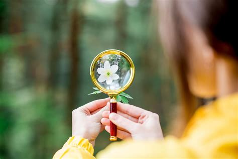 Primary Science Syllabus 5 Ways To Prepare
