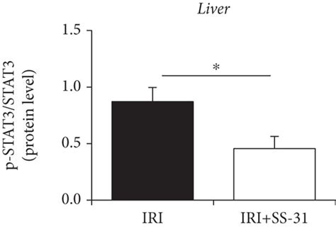Ss 31 Regulated Stat1 And Stat3 To Govern Macrophage Polarization A