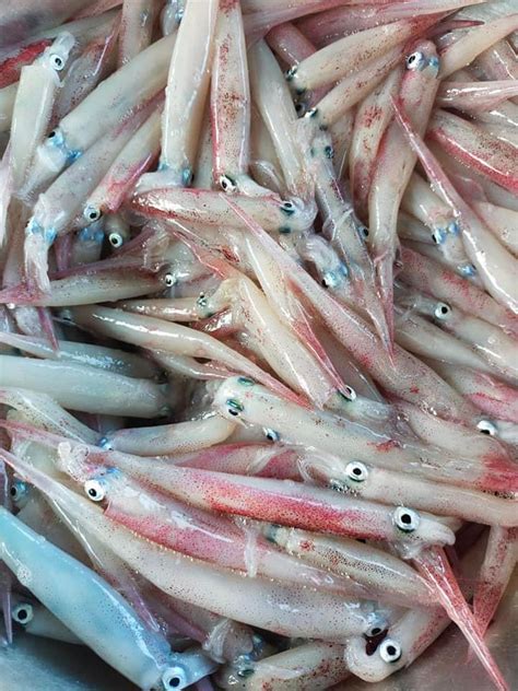 Special Bantayan Cebu Dried Pusit Tarorot Unsalted Squid 120 G Sukli Filipino