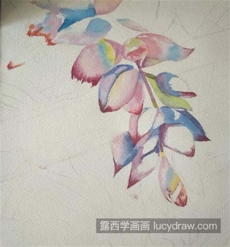 毛地黄怎么画指顶花的画法是什么 露西学画画