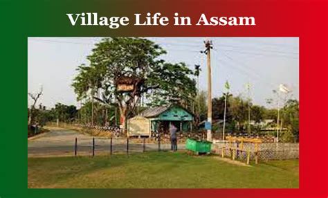 Village Life In Assam