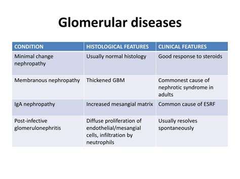 Ppt The Pathology Of Glomerular Diseases Powerpoint P
