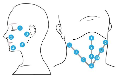 پروفایلو استراکچرا قیمت 1404