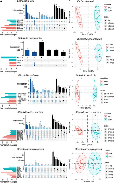Dda Mass Spectrometry To Assess The Impact Of Serum Exposure On The