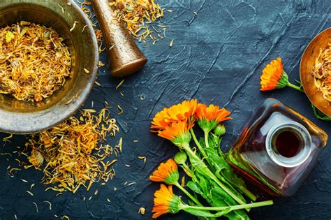 Tintura Madre Di Calendula Preparazione Proprietà E Utilizzo Cure