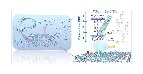 C N Se CNTs As Advanced Metal Free Catalysts For The Photoassisted Electrocatalytic Oxygen