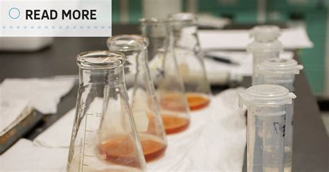 Your Ultimate Guide To Mineral Testing Jargon