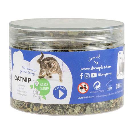 Catnip Herb Laroy Group Catnip Herb Laroy Group