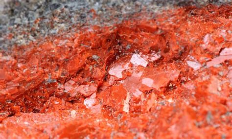 Tragedy Temporarily Closes Nutrien Potash Mine Canadian Occupational