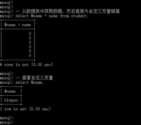 史上最简单的 Mysql 教程（三十一）「数据库变量」数据库用户变量有什么用处 Csdn博客