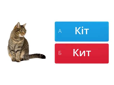 Прочитай і обери слово що відповідає картинці Quiz