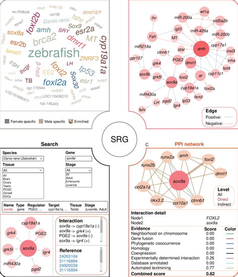 Srg Module In Aser A Word Cloud For Genes Or Drugs Mined From The