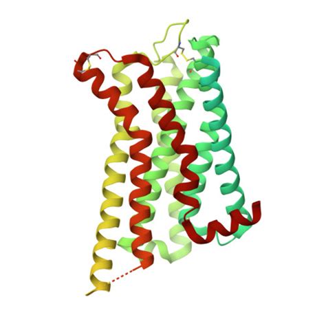 Gene P14416 Protein Drd2 Overview Cansar Ai