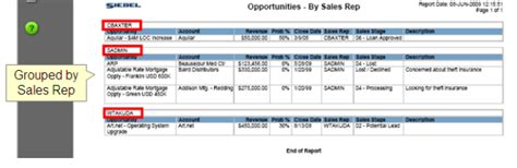 Bip Report Types Cracking Siebel