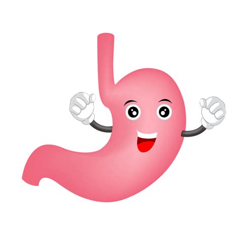 胃 卡通