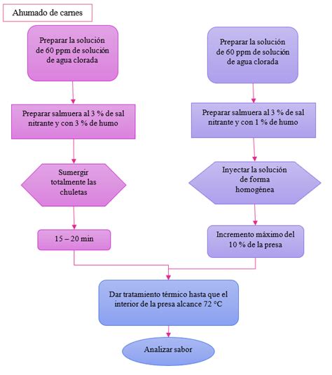 Métodos De Conservación De La Carne Curado Y Ahumado EÑengi