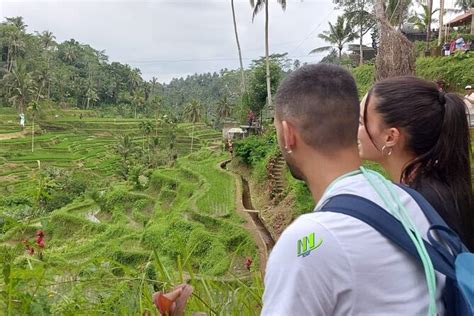 The Bali Bible Activity Full Day Bali Island Tour…