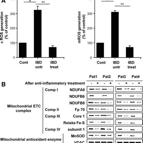 Mitochondrial Reactive Oxygen Species Generation In Patients With