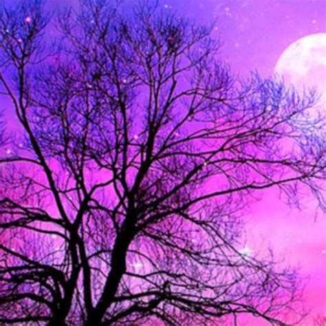 Maja MariČiĆ University Of Osijek Osijek Unios Department Of Medical Chemistry