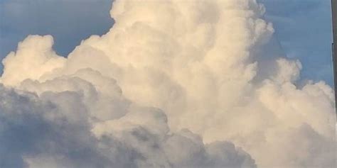 𝐏𝐫𝐨𝐟𝐢𝐥𝐞 백 이연 프로필