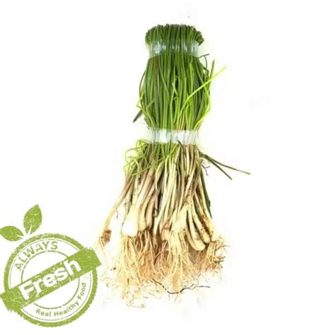 Jual Lokio Lengkio Bawang Batak Shopee Indonesia