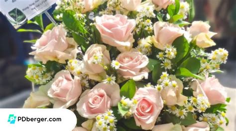 10 Toko Bunga Di Garut Terbaik Bunga Fresh Dan Indah