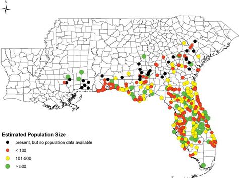 Group 6 The Gopher Tortoise Zhi Mankin
