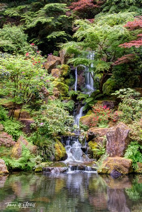 Heavenly Falls Japanese Garden Portland Photo Art Tomas W Mitchell