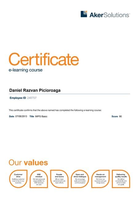 Mips Basic Attest Pdf