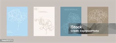 꽃 표지 템플릿 플래 카드 브로셔 배너 전단지 등 그리기 세트 아름다운 색 배경 엽서 포스터 초대장 등 윤곽선 꽃이있는 우아한 카드 0명에 대한 스톡 벡터 아트 및 기타