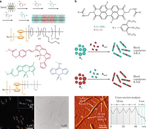 Supramolecular Polymerization Through Kinetic Pathway Control And Living Chain Growth Nature
