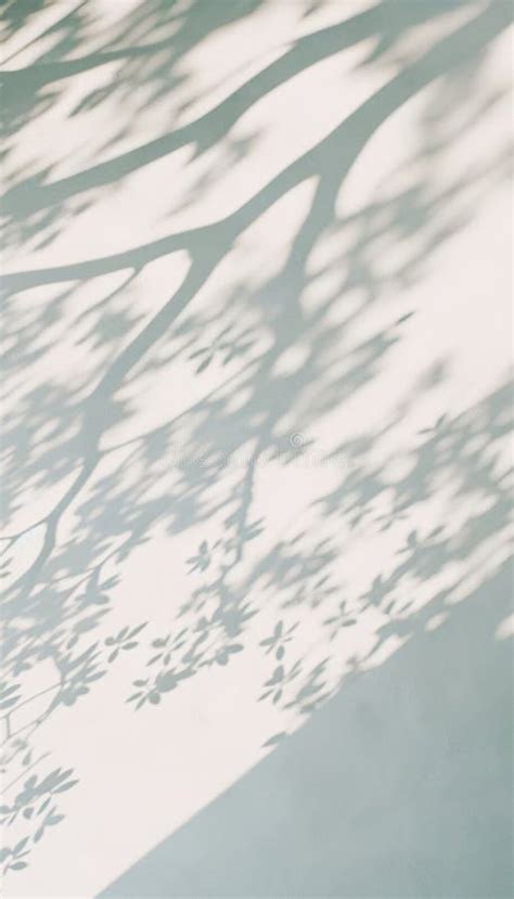 Abstract Aesthetic Shadow On White Textured Wall Elegant Shadow