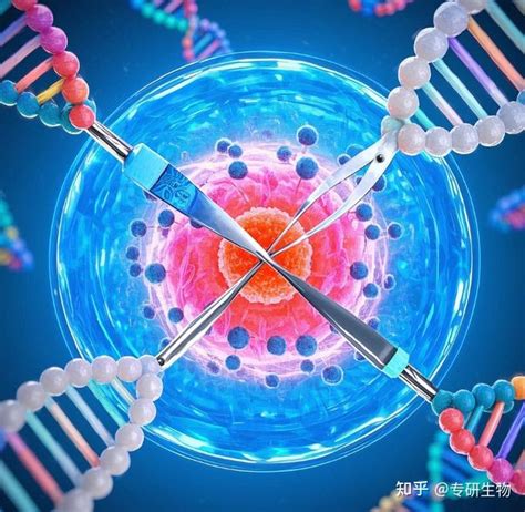 基因编辑：改写生命密码，是福是祸？生物科技前沿深度剖析！ 知乎