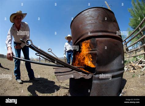 A Woman Stokes Branding Irons In The Fire During A Branding At The