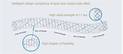 Intelligent Cell Design In Ahmedabad Multi Medics Id 10863352697