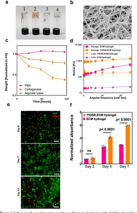 Figure 1 From Modified Ecm Based Bioink For 3d Printing Of Multi Scale