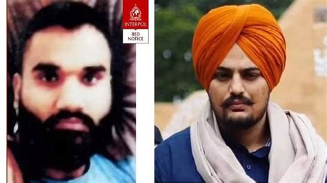 Goldy Brar Arrested News Gangster Detained In California Sources