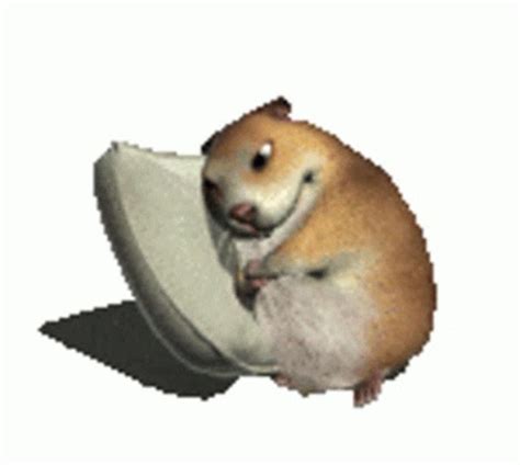 Silly 4 3 Hamster Lustig Meme