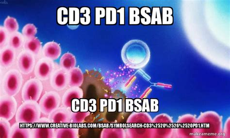 Cd3 Pd1 Bsab Cd3 Pd1 Bsab Creative Bsabsymbolsearch Cd325202526