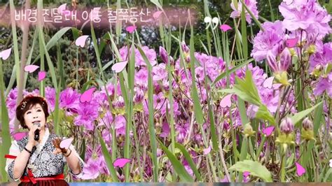 울엄마조윤선 원곡박상철 이동철쭉동산 배경 Youtube