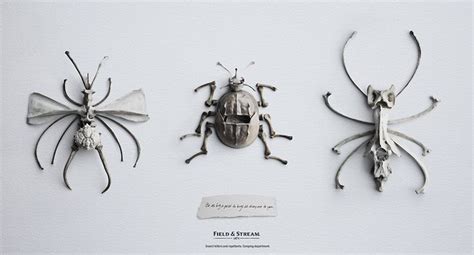 Bug Bones Bones Bugs Body Positive Photography