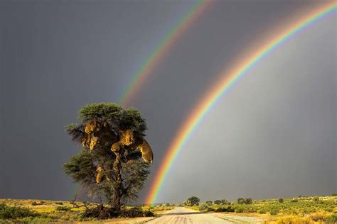Can You Get Triple Or Quadruple Rainbows New Scientist